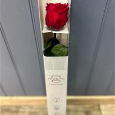 Hocknells Florist Crewe - Order Online or 01270 212343