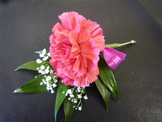 Carnation Buttonhole