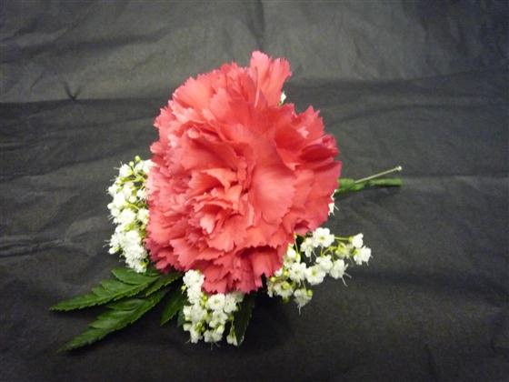 Carnation Buttonhole